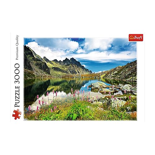 Click here for Trefl Red 3000 Piece Puzzle - Staroleniaski Pond... prices