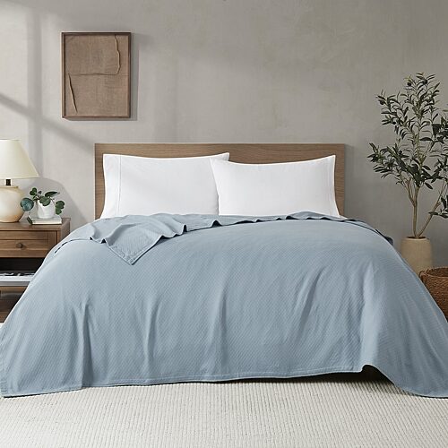 Click here for Royal Velvet Dream Cotton Blanket prices