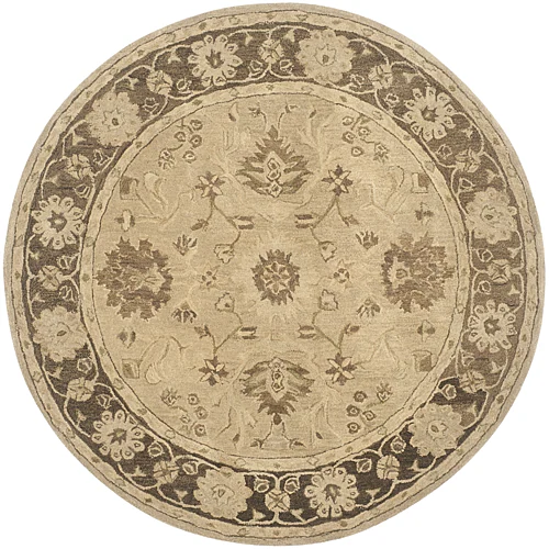 Click here for Safavieh Jeneka Traditional Area Rug  One Size  Mu... prices