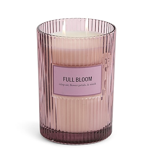 Click here for Martha Stewart 19oz Full Bloom 2-Wick Scented Jar... prices