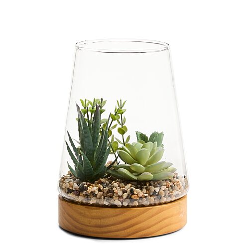 Click here for Linden Street 7in Mixed Succulent Terrarium Artifi... prices