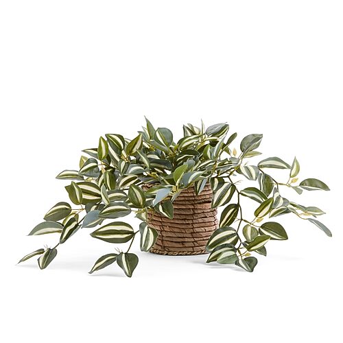 Click here for Linden Street 8in Tradescantia Trailing Artificial... prices