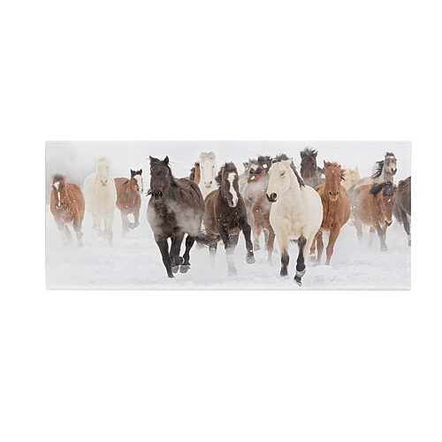 Click here for Stupell Industries Wild Horses Herd Foggy Winter C... prices