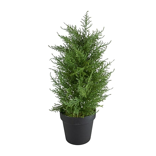 Click here for Northlight 2ft Real Touch Cedar Pine Petite Arborv... prices