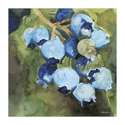 Click here for Lumaprints Blueberries I Traditional Canvas Art  O... prices