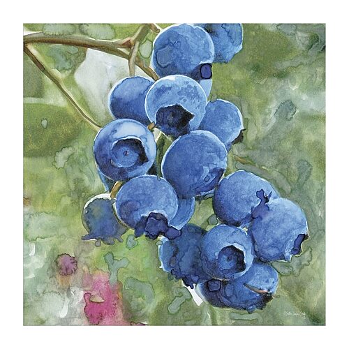 Click here for Lumaprints Blueberries Ii Traditional Canvas Art... prices
