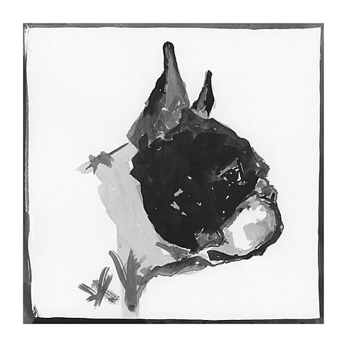 Click here for Lumaprints Boston Terrier Traditional Canvas Art... prices