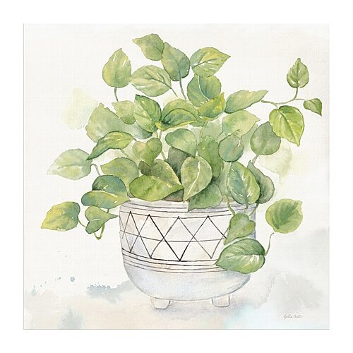 Click here for Lumaprints Houseplant I Philodendron Canvas Art  O... prices