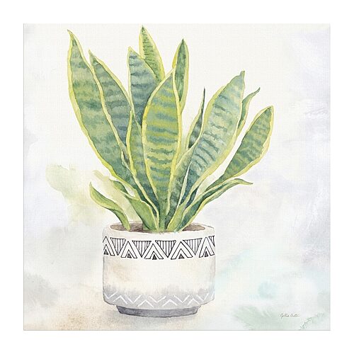 Click here for Houseplant IV Snake Plant Canvas Art  One Size  Gr... prices