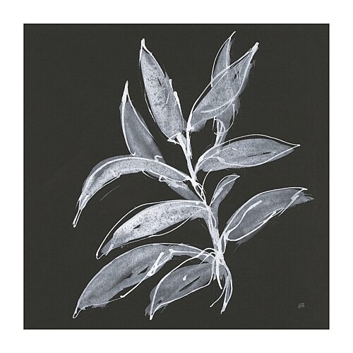 Click here for Lumaprints Branch Iv Canvas Art  One Size  Black prices