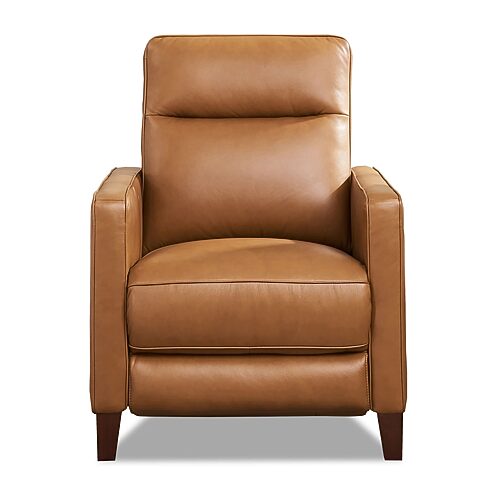 Ashby Upholstered Motion Recliner  One Size  Brown