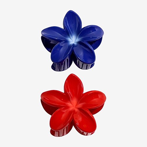 Click here for Arizona 2-pc. Hair Clip  One Size  Multiple Colors prices