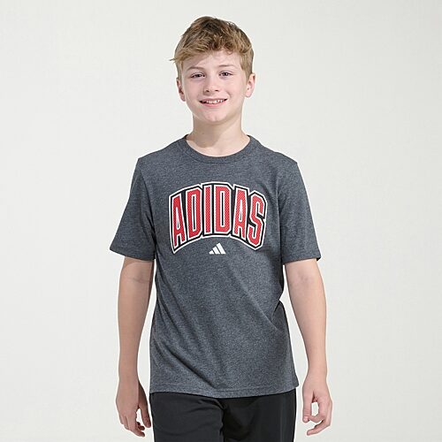 Click here for Boys (8-20) adidas(R) Short Sleeve Collegiate Arch... prices