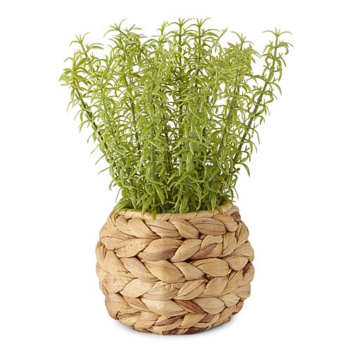 Click here for Linden Street 10 Potted Water Hyacinth Artificial... prices