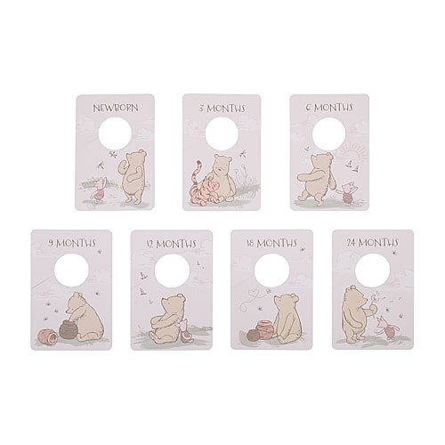 Click here for Disney Winnie The Pooh Hanging Organizer  One Size... prices