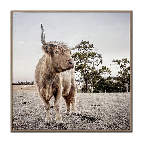 Click here for Streamline Art Countryside Highland Framed Canvas... prices