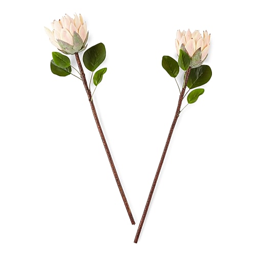 Click here for Distant Lands 26 Pink Protea 2-pc. Vase Filler  On... prices