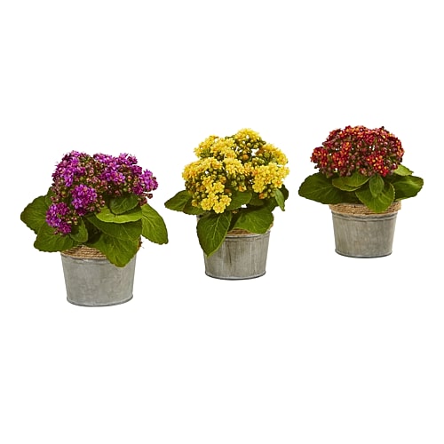 Click here for Nearly Natural Kalanchoe Artificial Arrangements... prices