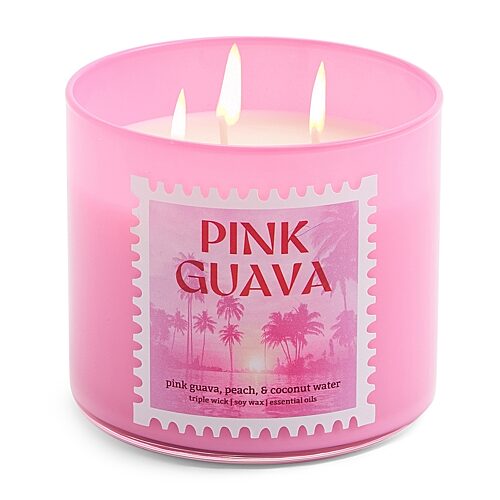Click here for Distant Lands 14oz Pink Guava 3-Wick Scented Jar C... prices