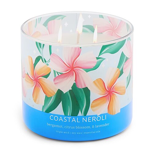 Click here for Distant Lands 14oz Coastal Neroli 3-Wick Scented J... prices