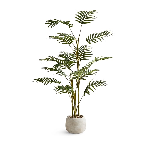 Click here for Linden Street 48in Tropical Palm Indoor Artificial... prices