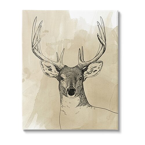 Click here for Stupell Industries Deer Portrait Drawing Canvas Ar... prices
