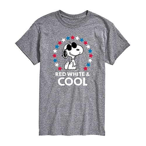 Click here for Airwaves Mens Peanuts Snoopy Flag Fireworks Short... prices