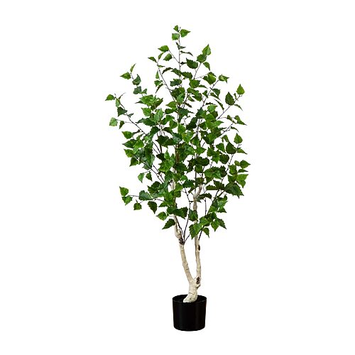 Click here for Nearly Natural 5 Birch With Real Touch Leaves Arti... prices