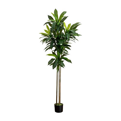 Click here for Nearly Natural 7 Dracaena With Real Touch Leaves A... prices