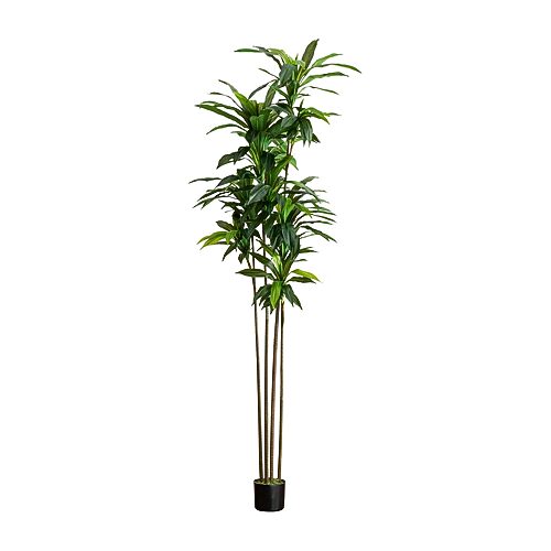 Click here for Nearly Natural 8 Dracaena With Real Touch Leaves A... prices