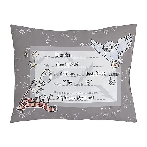 Click here for Warner Bros. Harry Potter Magical Moments Pillow -... prices