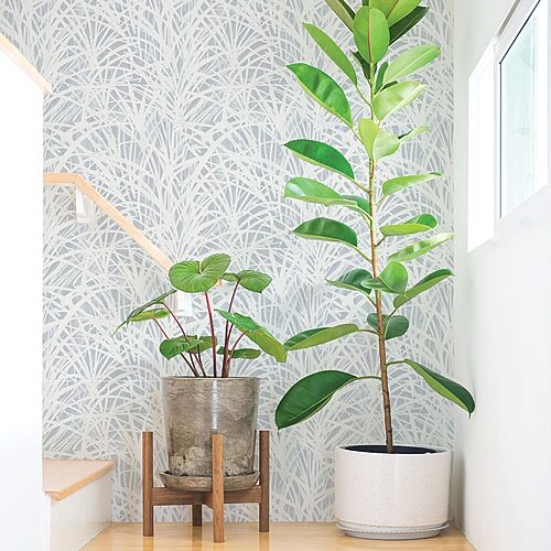 Click here for Tempaper Grassroots Peel & Stick Wallpaper  One Si... prices