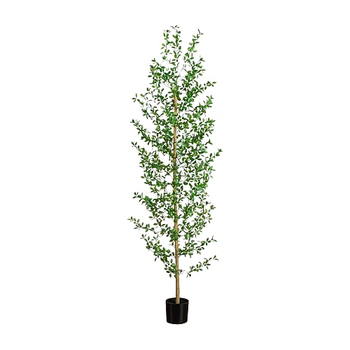 Click here for Nearly Natural 6ft Shady Lady Black Olive Indoor A... prices