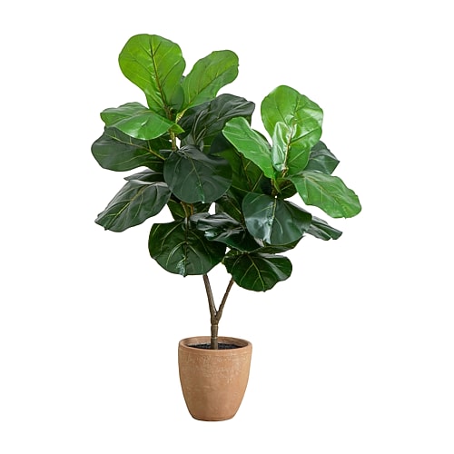 Click here for Nearly Natural 45 Giant Leaf Fiddle Fig Decorative... prices