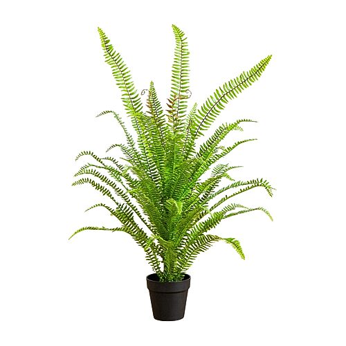 Click here for Nearly Natural 3ft Boston Fern Artificial Plant  O... prices