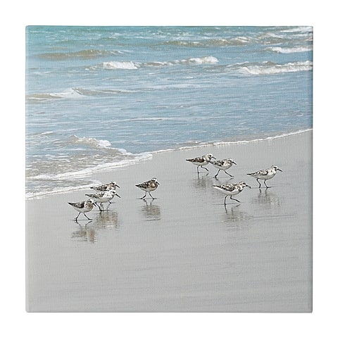 Click here for Stupell Industries Sandpipers Flock Sandy Beach Sh... prices