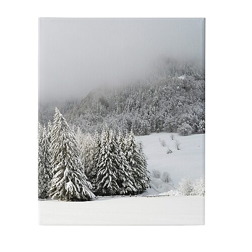 Click here for Stupell Industries Winter Snowscape Woodland Trees... prices