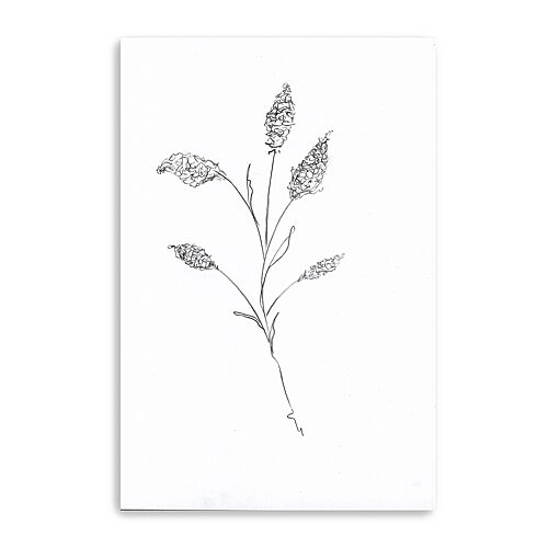 Click here for Floral Sketch II Giclee Canvas Art  One Size  Whit... prices