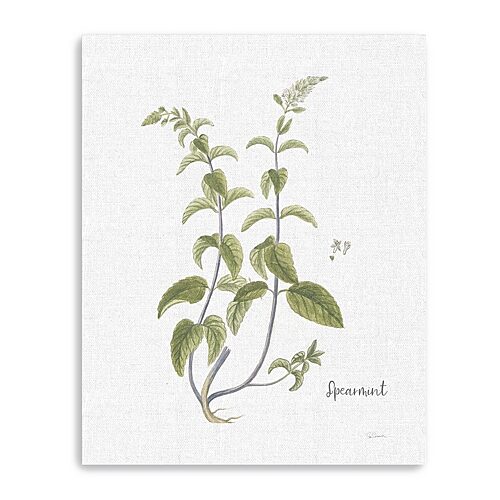 Click here for Cottage Herbs IV Giclee Canvas Art  One Size  Whit... prices