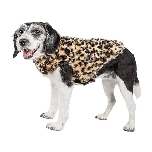 Click here for Pet Life  Luxe Poocheetah Ravishing Designer Spott... prices