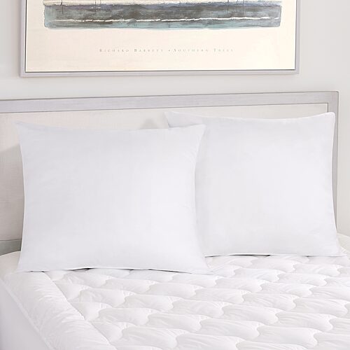 Click here for Queen Street Excellence Euro Pillow  One Size  Whi... prices