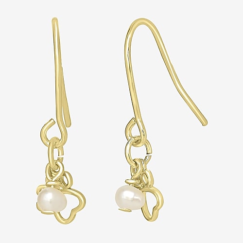 Click here for Silver Treasures Paw Print 14K Gold Over Silver Dr... prices