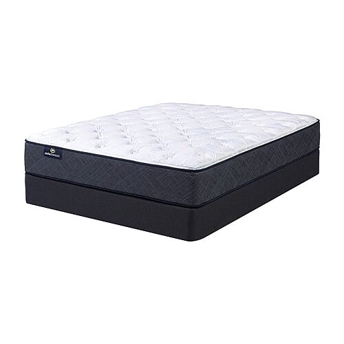 Serta Perfect Sleeper Adoring Night 10.5 Plush Mattress + Box Spring  One Size  White