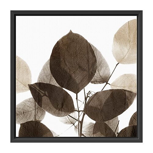 Click here for Lumaprints Chocolate Leaves 1 Framed Canvas Art  O... prices