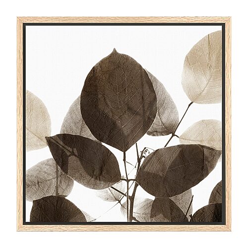 Click here for Lumaprints Chocolate Leaves 1 Framed Canvas Art  O... prices
