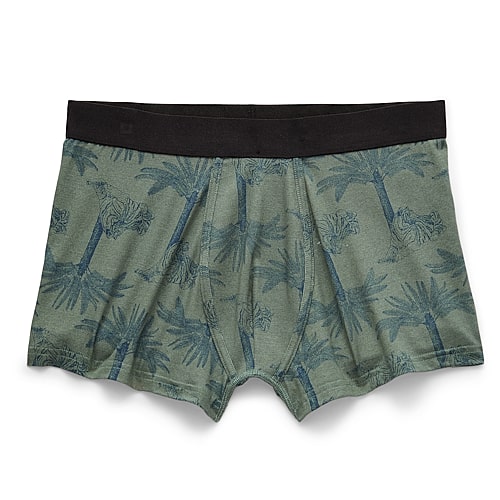 Click here for Arizona Mens Trunks 386007  Medium  Green prices