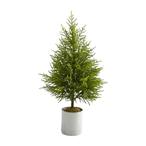 Click here for Nearly Natural Norfolk Island Pine 4 Foot Potted P... prices