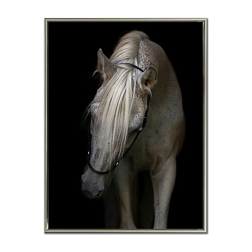 Click here for Streamline Art Mystical Horse Printed Framed Canva... prices