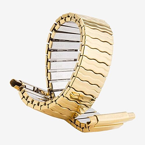 Click here for Speidel Unisex Adult Gold Tone Stainless Steel Wat... prices