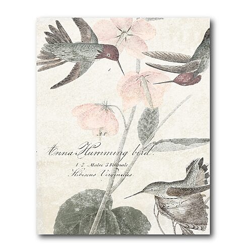 Click here for Courtside Market Soft Hummingbirds Canvas Art  One... prices